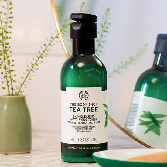 Linha Tea Tree da The Body Shop | Aline Tabata