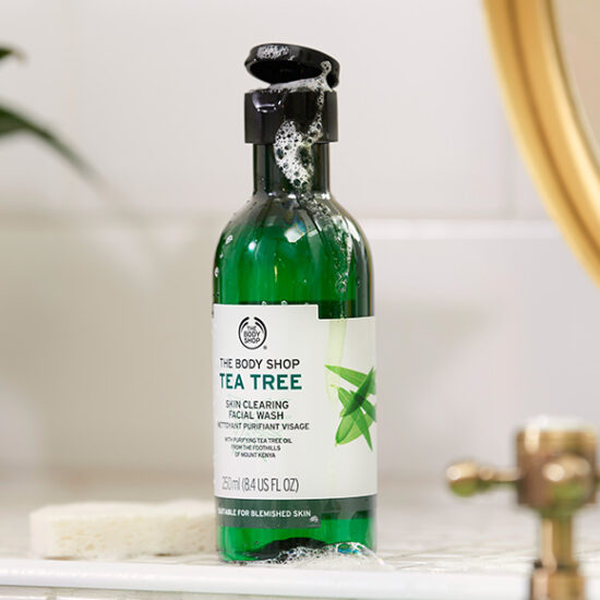 Linha Tea Tree da The Body Shop | Aline Tabata